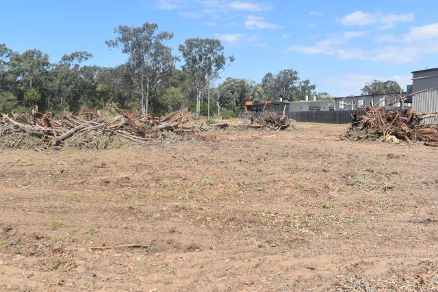 Vegetation management framework to be strengthened | Goondiwindi Argus