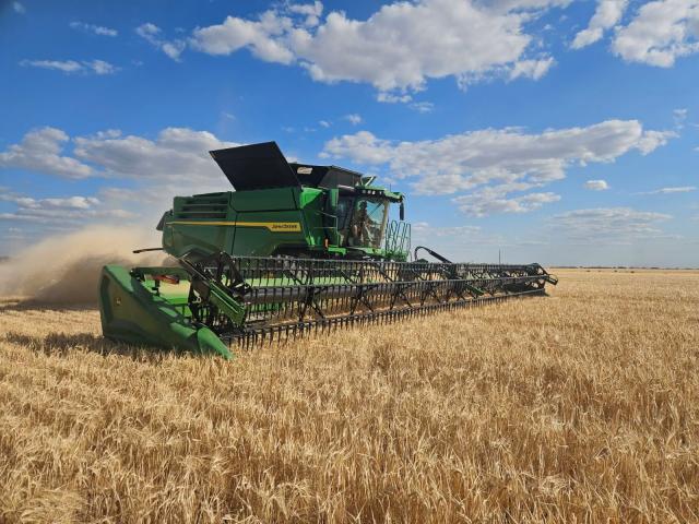 Harvest hits it’s strap – Barley comes out on top | Goondiwindi Argus