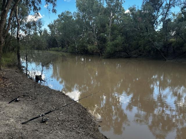 Community the focus of Toobeah land transfer | Goondiwindi Argus
