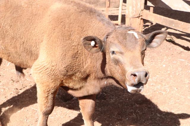 Farmers say NO to federal government . . . Pass vote of no confidence ...