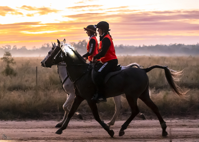 Six nations gather | Goondiwindi Argus