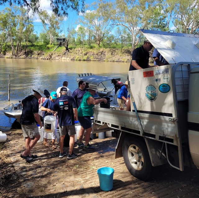 More fish in the river | Goondiwindi Argus