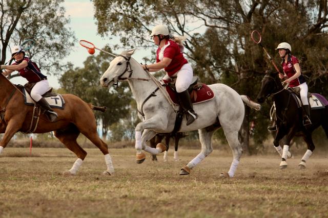 Horsemanship and teamwork shine at Polocrosse | Goondiwindi Argus