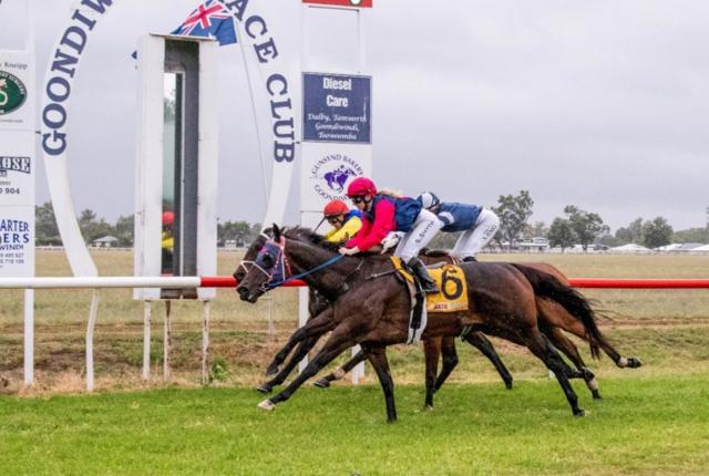 All ready for the Gundy Cup | Goondiwindi Argus