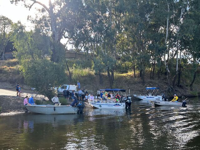 60,000 more fingerlings boost Macintyre River stocks | Goondiwindi Argus