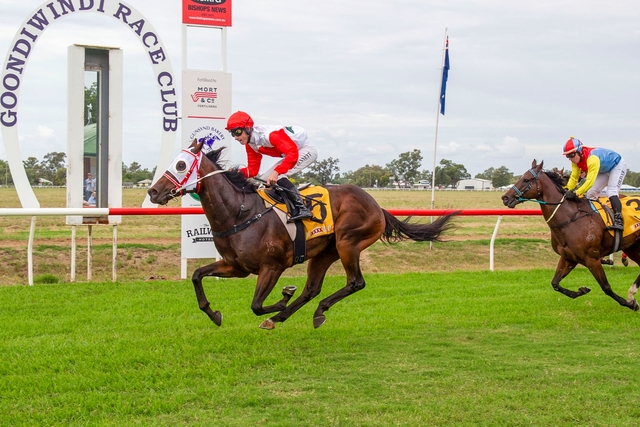 Gundy Picnics takes country racing to a new high | Goondiwindi Argus