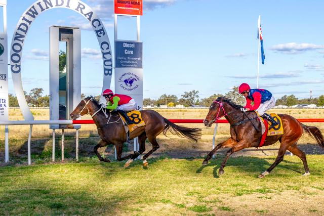 Palate gets the shot at the Triple Crown | Goondiwindi Argus