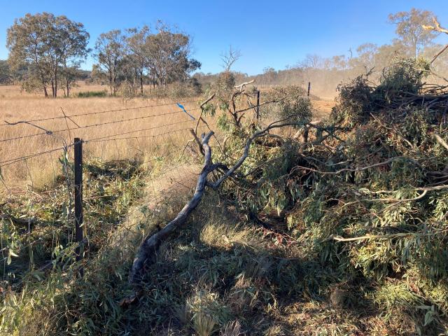 Acciona the neighbours from hell | Goondiwindi Argus