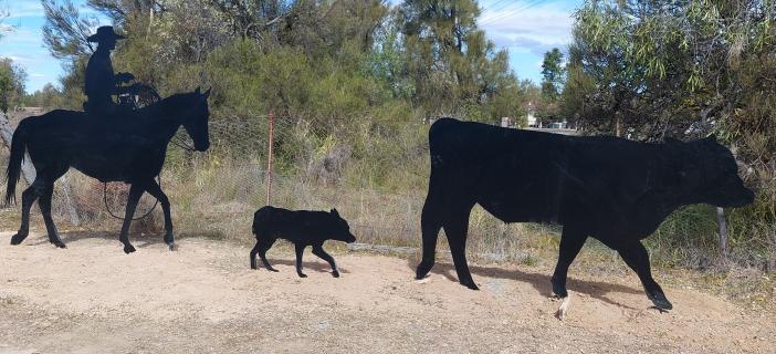 New silhouettes value add to Yelarbon Art Trail | Goondiwindi Argus