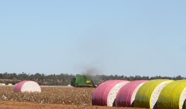 Farmers say NO to federal government . . . Pass vote of no confidence ...