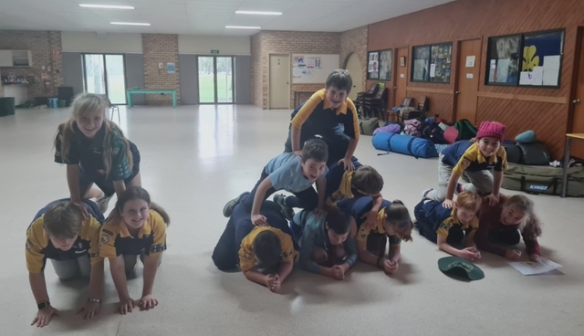 Getting around with the Scouts | Goondiwindi Argus