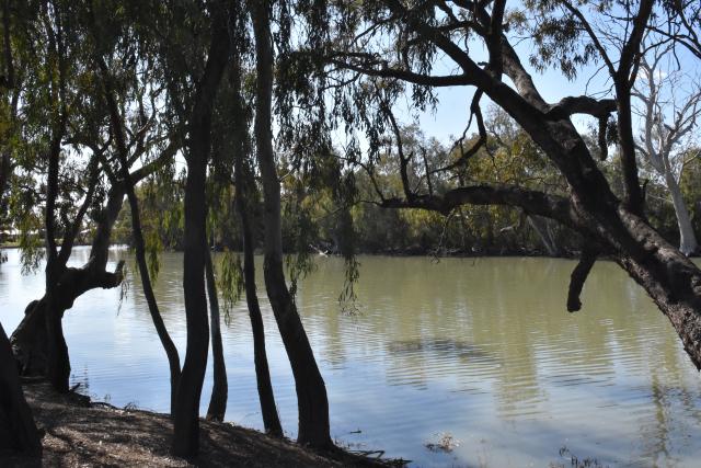 Algae red alert downgraded for Macintyre River | Goondiwindi Argus