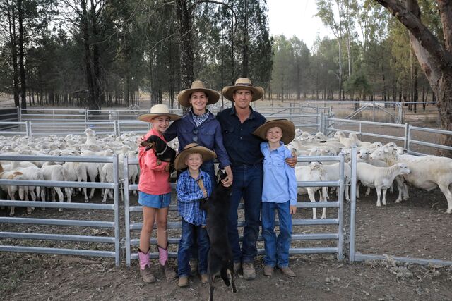 Focus: Macintyre Brook Lamb – The paddock to plate story | Goondiwindi ...