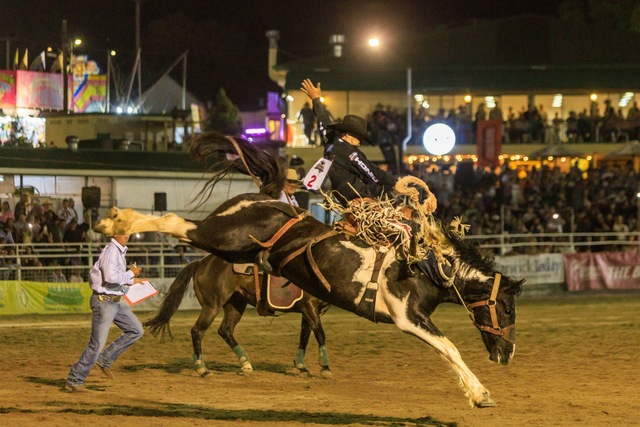 Brennan hoping third time's a charm | Goondiwindi Argus